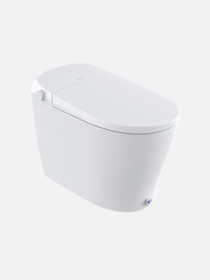 Erie Smart Toilet